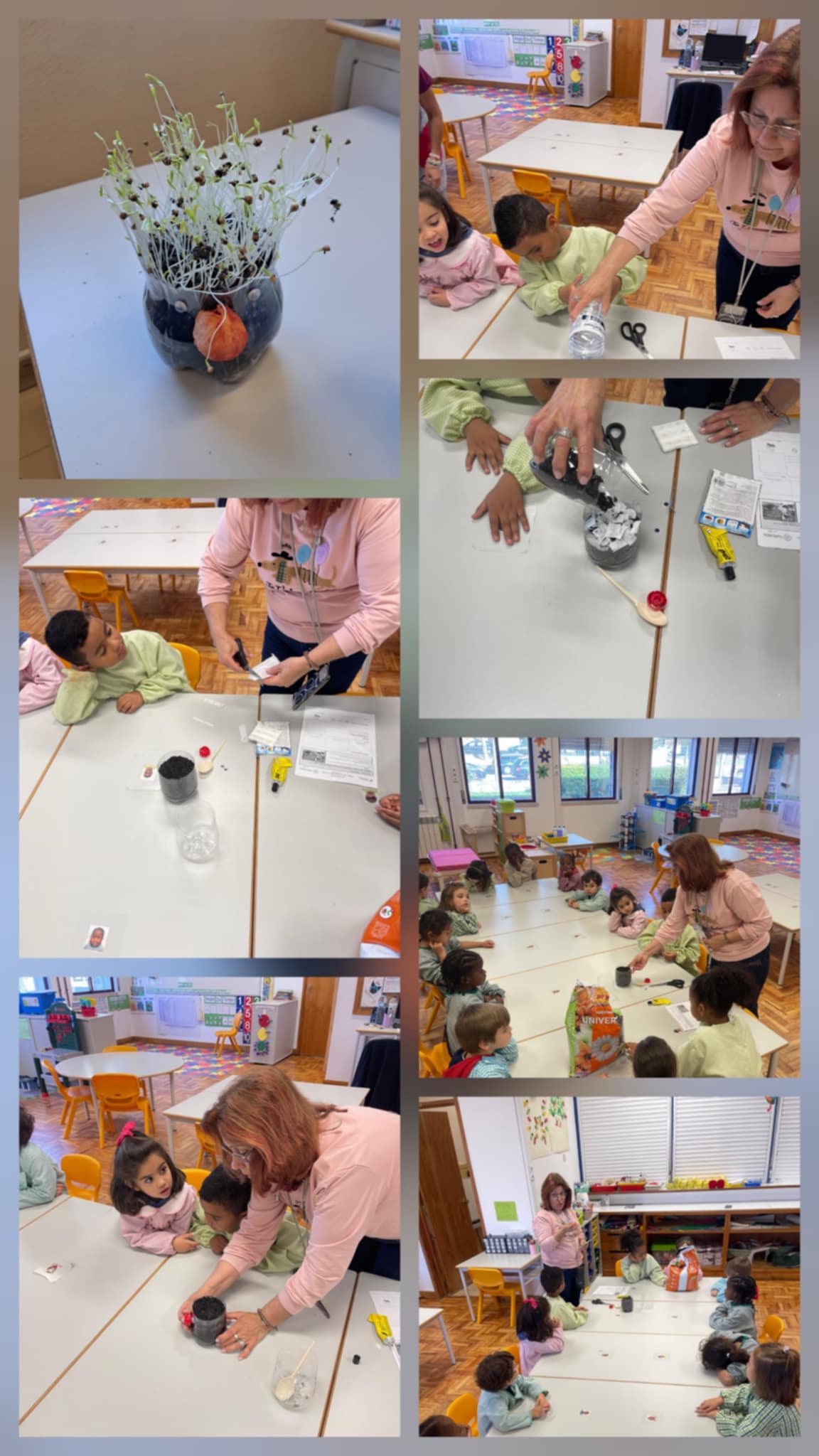 Projeto “Ciências Experimentais no pré-escolar” – AET