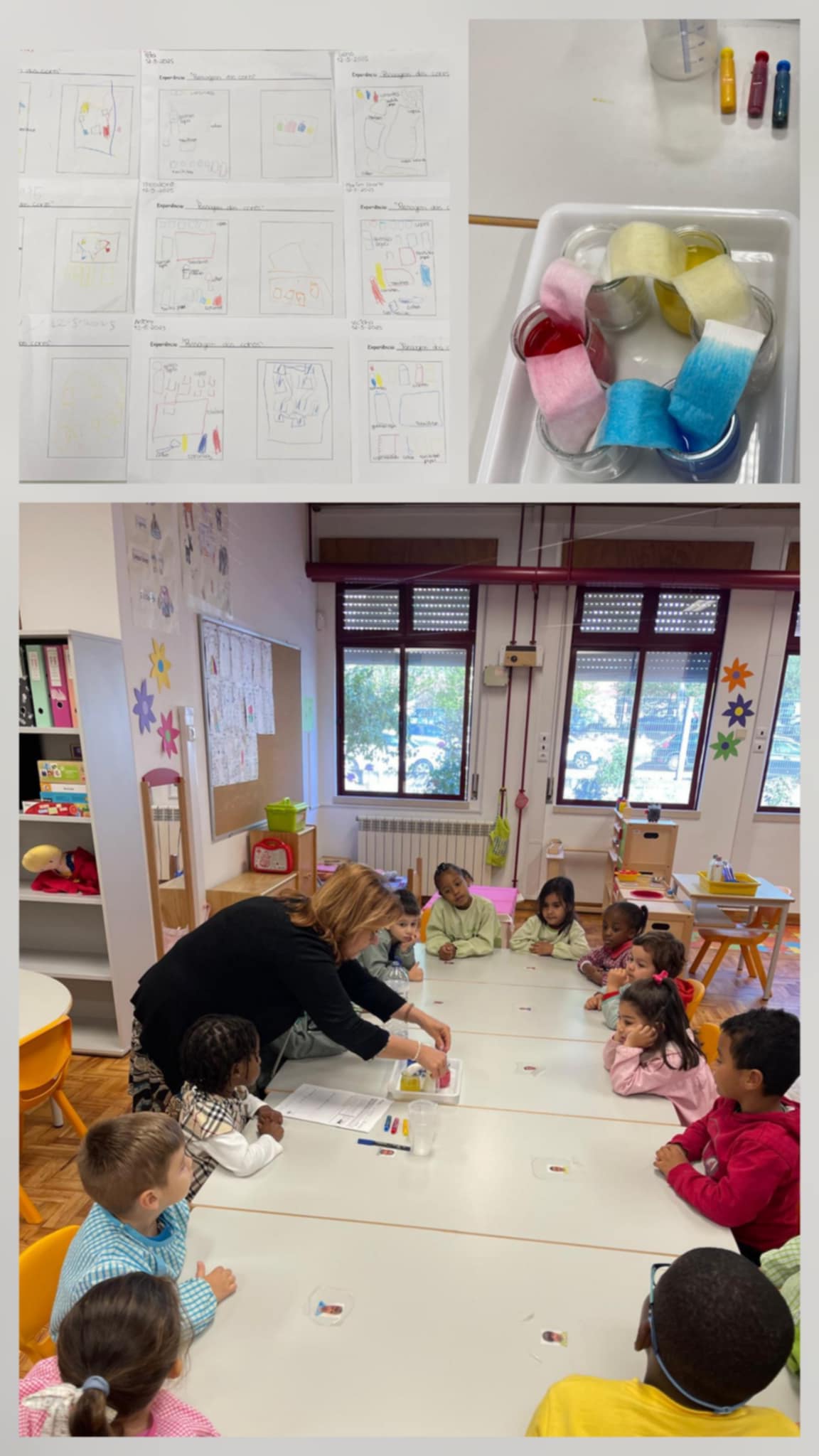 Projeto “Ciências Experimentais no pré-escolar” – AET